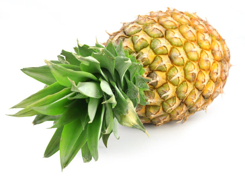 Pineapple stock photo. Image of eating, orange, isolated - 3573080