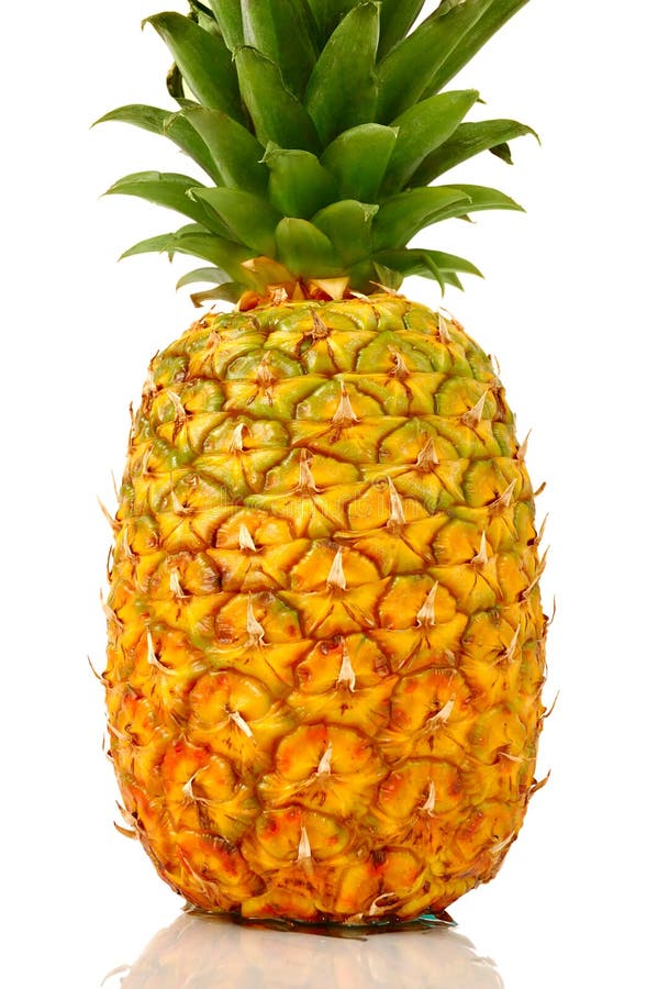40,313 Colorful Pineapple Stock Photos - Free & Royalty-Free Stock ...