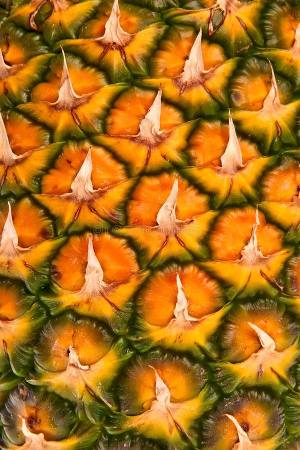 Pineapple texture stock image. Image of tropical, succulent - 959905