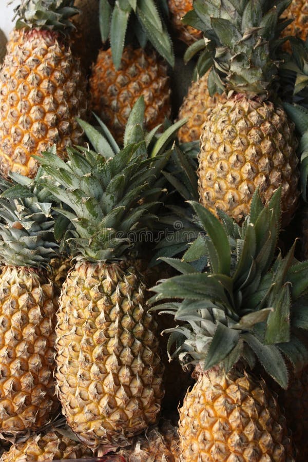 Pineapple(Ananas) stock photo. Image of oriental, culinary - 38473122