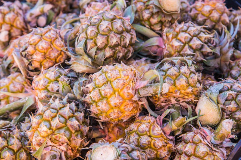 Pineapple in plastic bag stock photo. Image of natural - 217849490