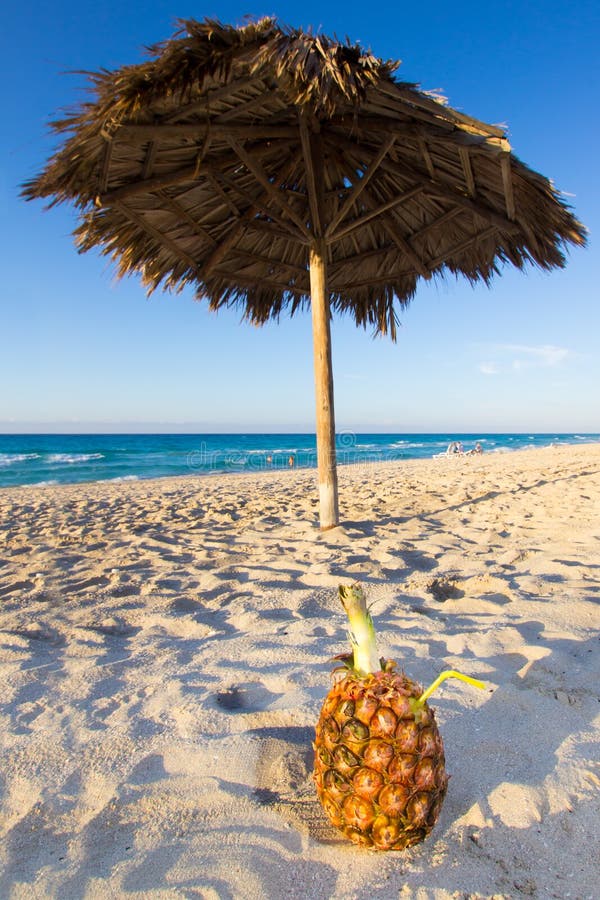 Pineapple on the beach stock image. Image of beach, caribbean - 38008011