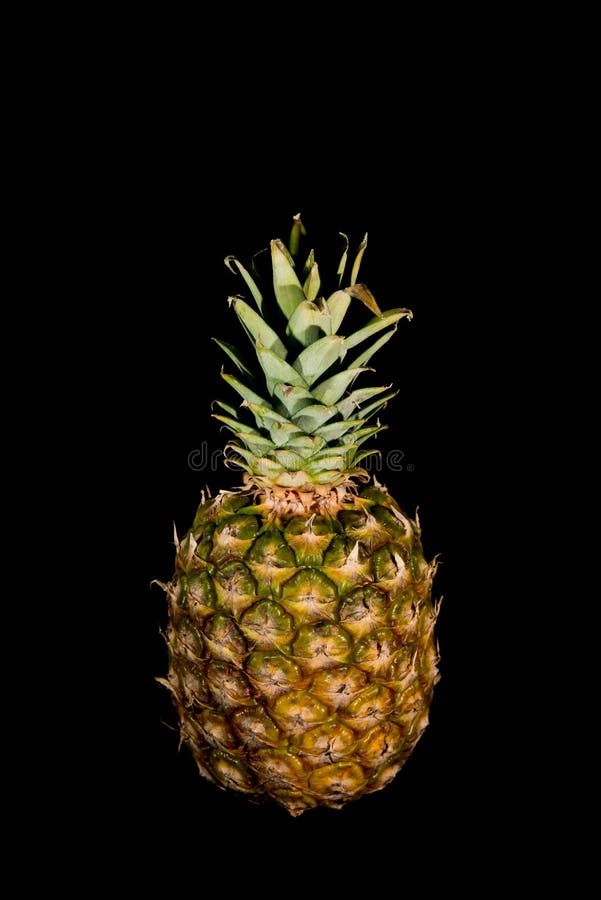 Pineapple stock photo. Image of abstract, happy, juicy - 87456930