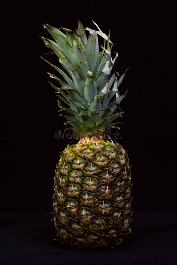 Pineapple on a Black Background Stock Photo - Image of object, single ...