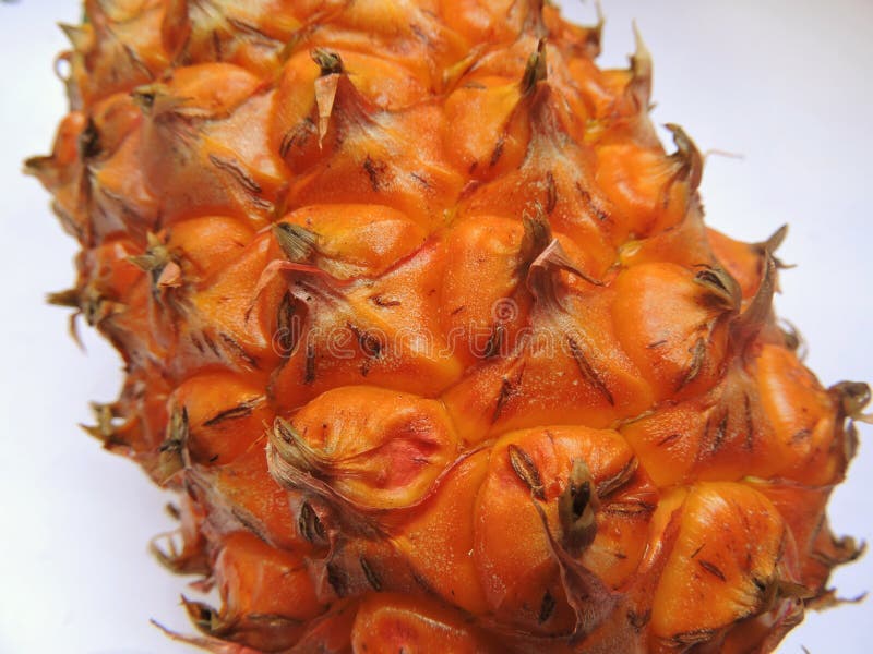 Pynappel Stock Photos - Free & Royalty-Free Stock Photos from Dreamstime