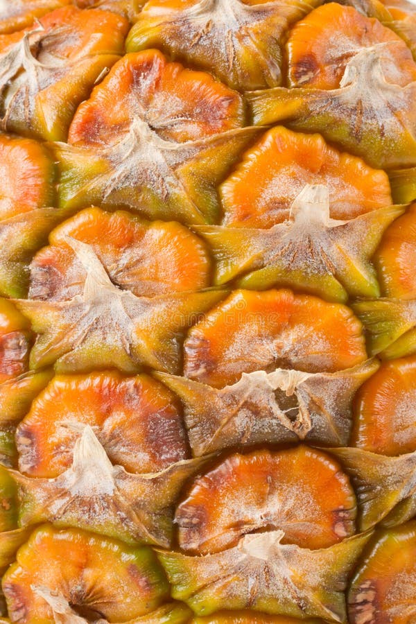 Close up of pineapple skin stock photo. Image of caribbean - 10247358