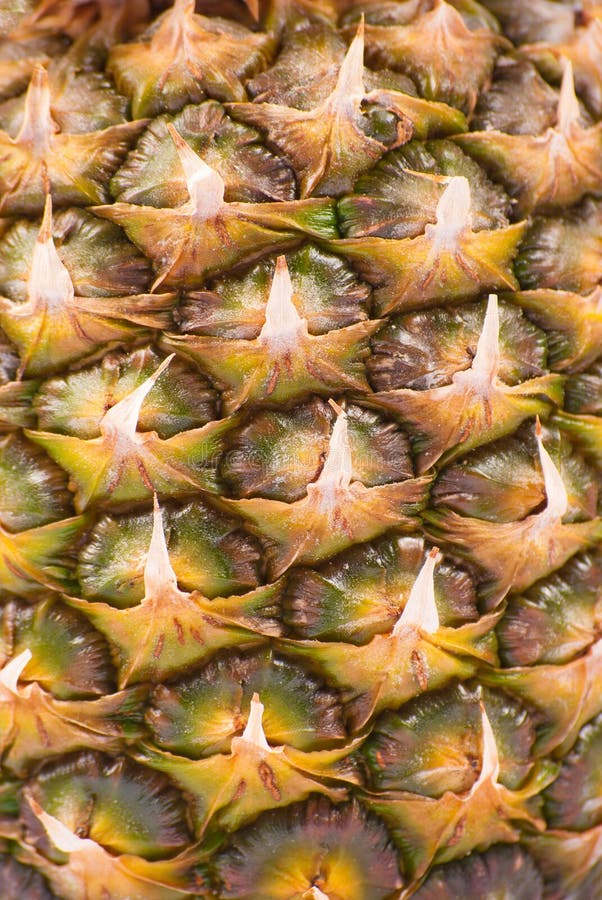 Pineapple close up stock image. Image of green, fruit - 54548757
