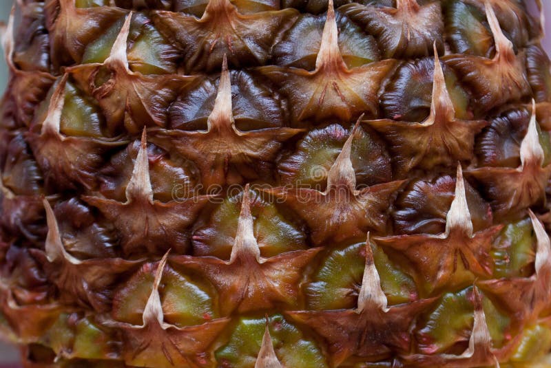 585 Pineapple Structure Stock Photos - Free & Royalty-Free Stock Photos ...