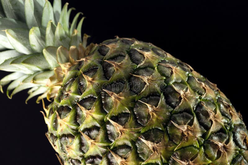Pineapple close up 3 stock photo. Image of close, healthy - 13349192