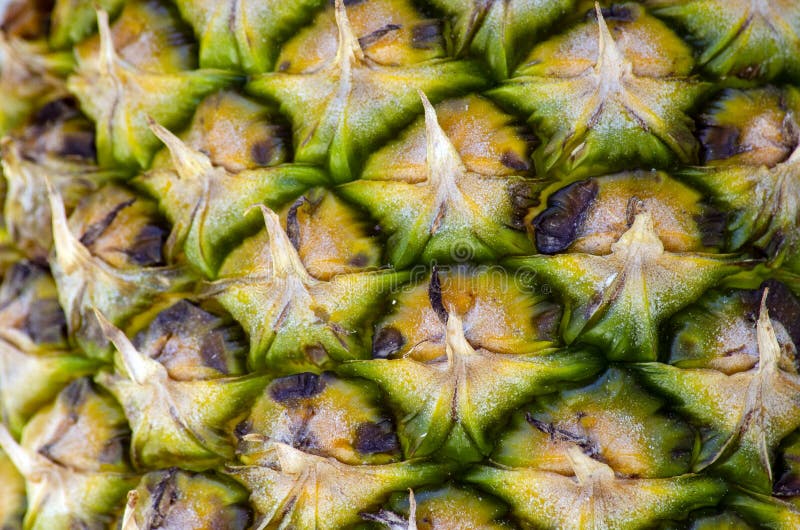 Pineapple close up stock photo. Image of vitamin, pineapple - 187180472