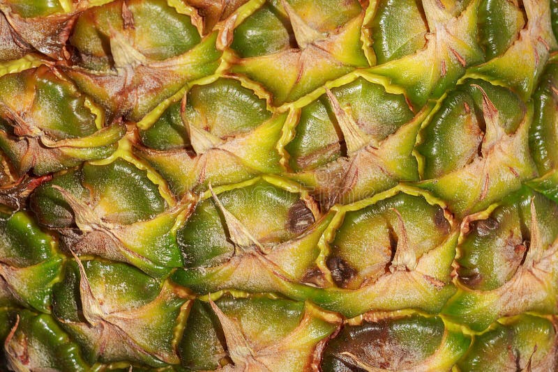 Pineapple stock photo. Image of food, skin, tasty, close - 130642214