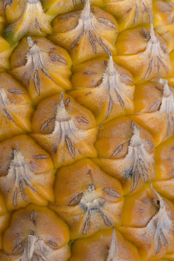 Pineapple close up. stock photo. Image of fruit, nature - 42792442