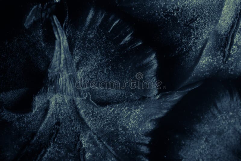 Pineapple Close Up - Tropical Fruit Texture - Blue Stock Image - Image ...