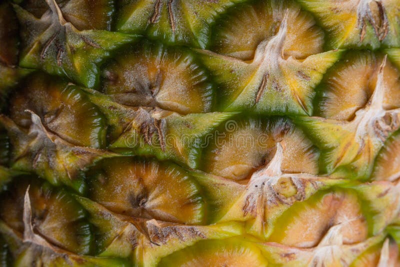 Pineapple Close Up - Tropical Fruit Texture Stock Image - Image of ...