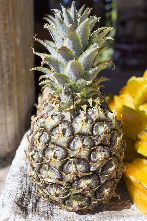 Pineapple close up stock image. Image of food, plant - 77438975