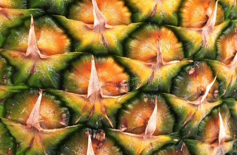 Pineapple Closeup Royalty Free Stock Photos - Image: 15897078