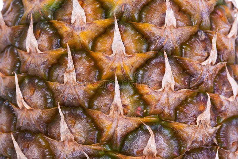 Pineapple closeup stock photo. Image of single, natural - 21494666