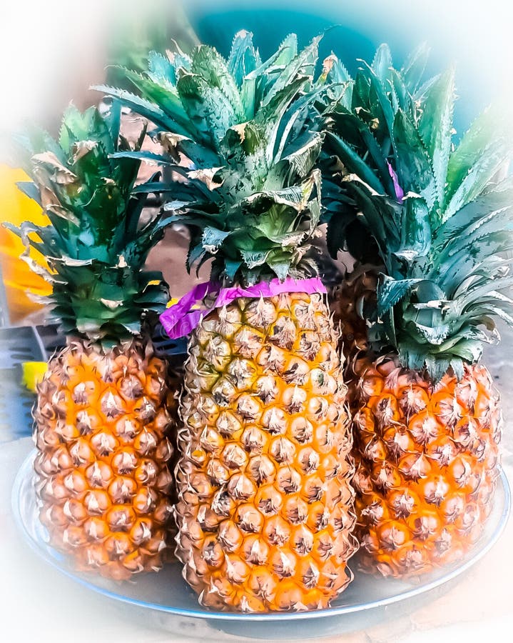 Pineapple Closeup. Pineapple Fornt View.ripe Pineapple. Stock Image ...