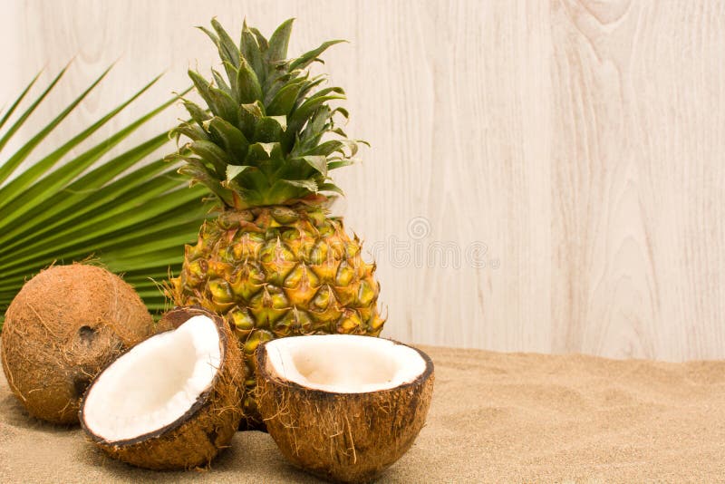 Pineapple and coconut stock image. Image of fruit, palm - 50599327
