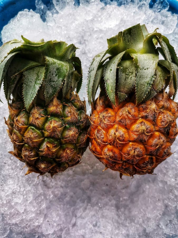 Pineapple with cold stock photo. Image of autumn, herb - 284648400