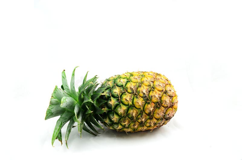 39,905 Colorful Pineapple Stock Photos - Free & Royalty-Free Stock ...