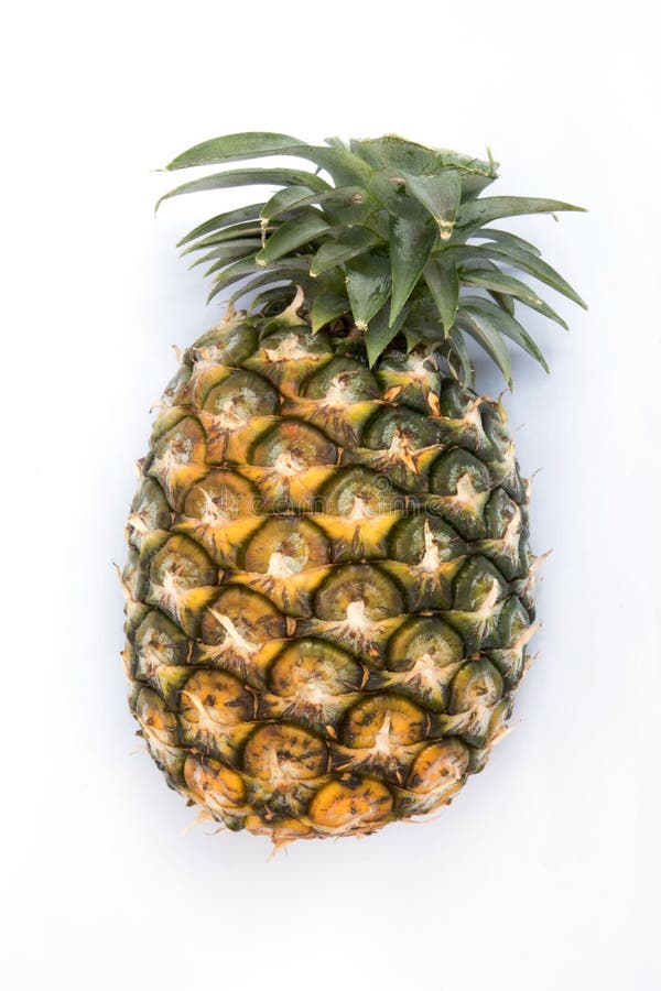 39,905 Colorful Pineapple Stock Photos - Free & Royalty-Free Stock ...