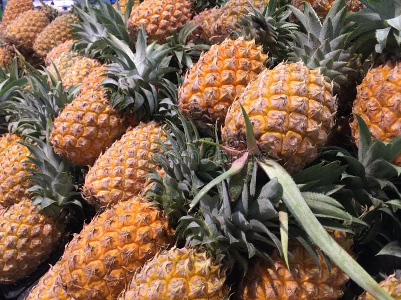 Pineapple stock image. Image of market, topical, fresh - 62682799