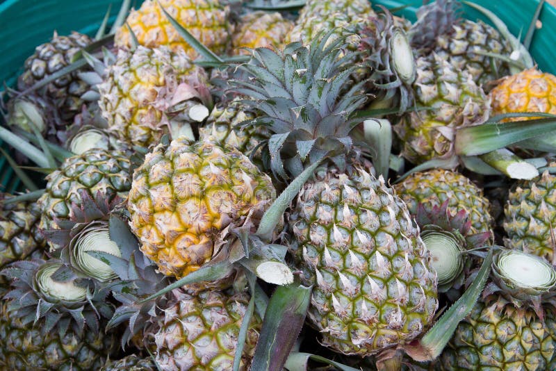 Pineapple stock image. Image of pile, culture, nature - 67779373