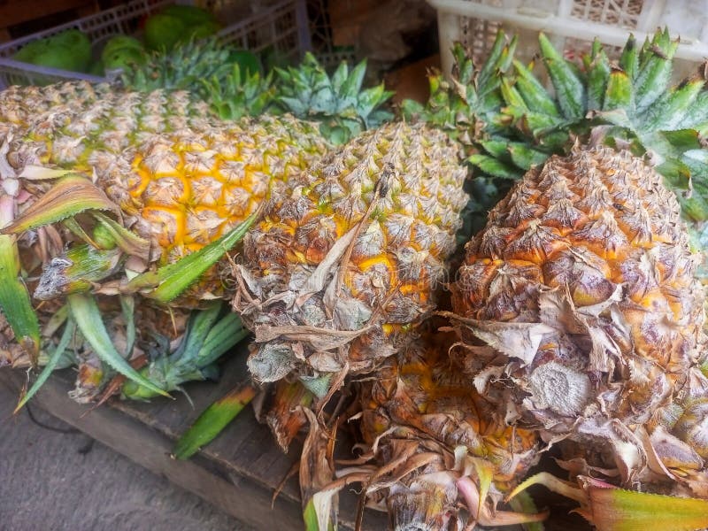 Pineapple stock photo. Image of healthy, tropical, fruit - 259085752
