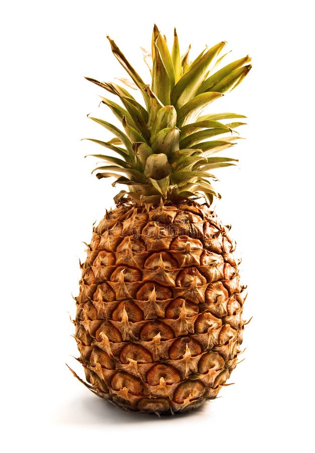Pineapple fruit stock image. Image of exotic, nobody - 10374369