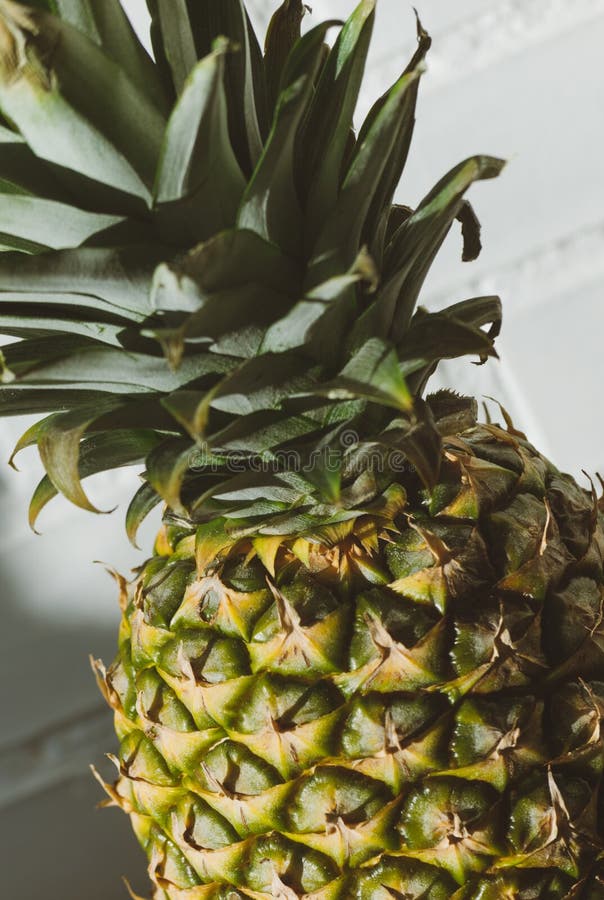 Pineapple Fruit Close Up for Summer Diet Stock Image - Image of leaf ...