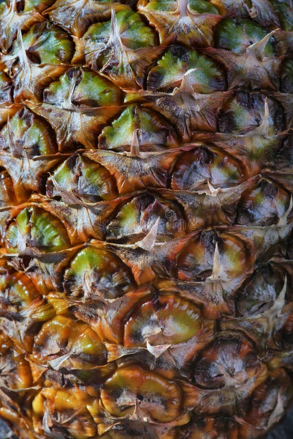 Pineapple Fruit Close-up Structure Stock Image - Image of harvest, barn ...
