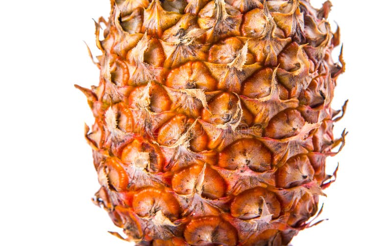 541 Fruit Iv Stock Photos - Free & Royalty-Free Stock Photos from ...