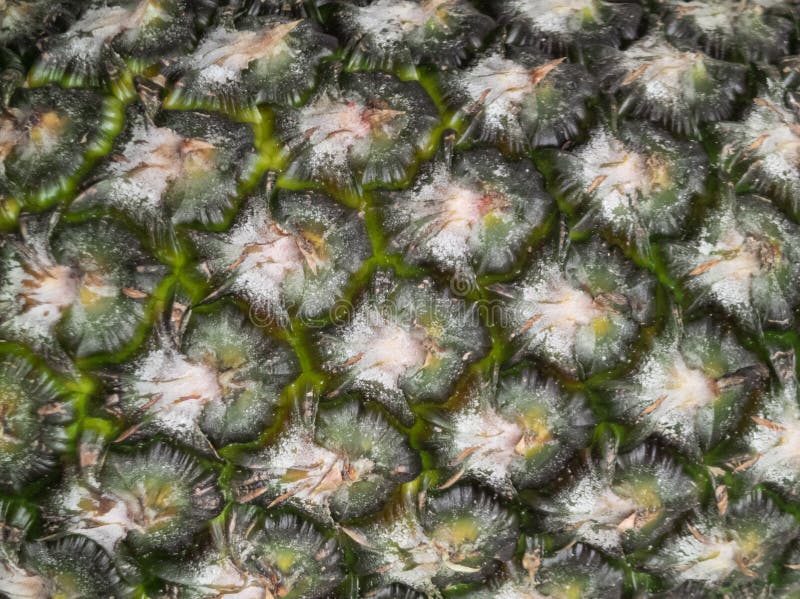 Pineapple Fruit Peel Texture Stock Image - Image of exotic, fruit ...