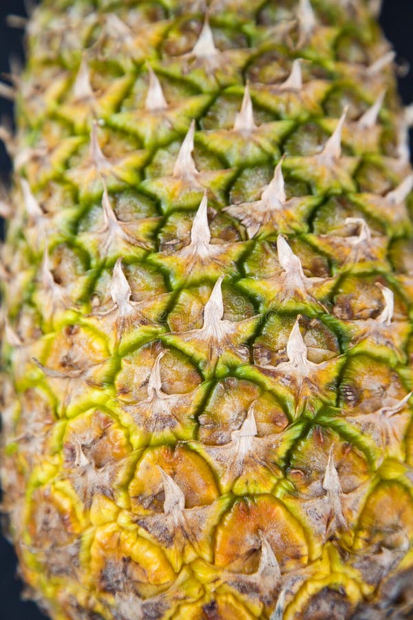 Pineapple texture stock image. Image of tropical, succulent - 959905