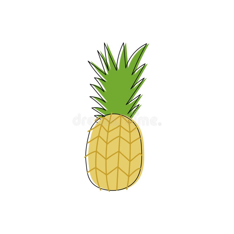 Pineapple Hand Drawn. Abstract Shape Fruit Inspiration. Vector ...