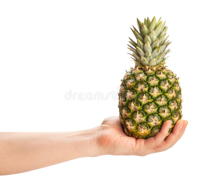 Pineapple in hand stock photo. Image of food, pineapple - 328709492