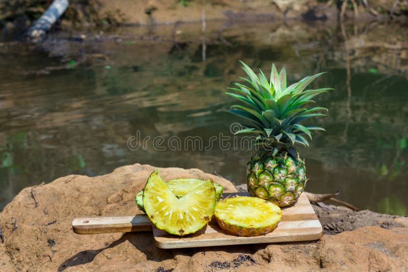 Pineapple Juice Waterfall,copy Space Stock Photo - Image of drink ...