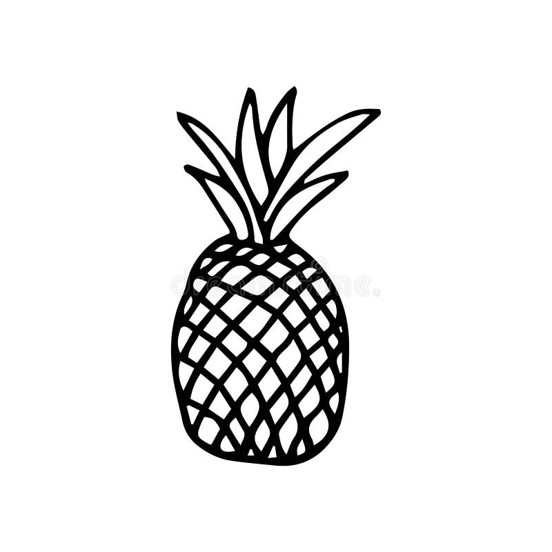 Pineapple Line Icon. Trendy Tropical Element. Vector Graphics. Isolated ...