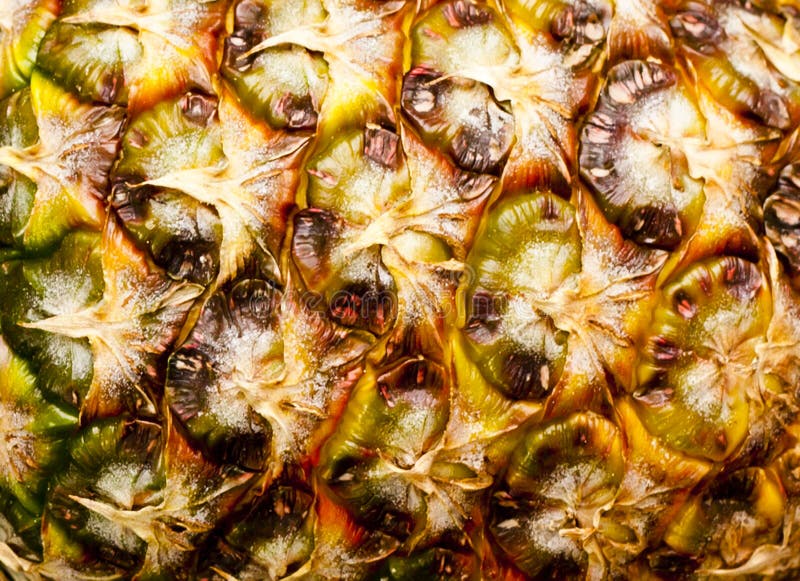 Pineapple. Macro Shot of Outer Skin Texture Stock Photo - Image of ...