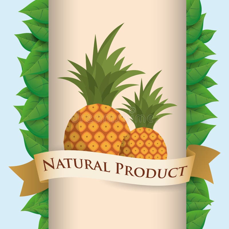 Pineapple Natural Product Poster Ribbon Stock Illustration ...