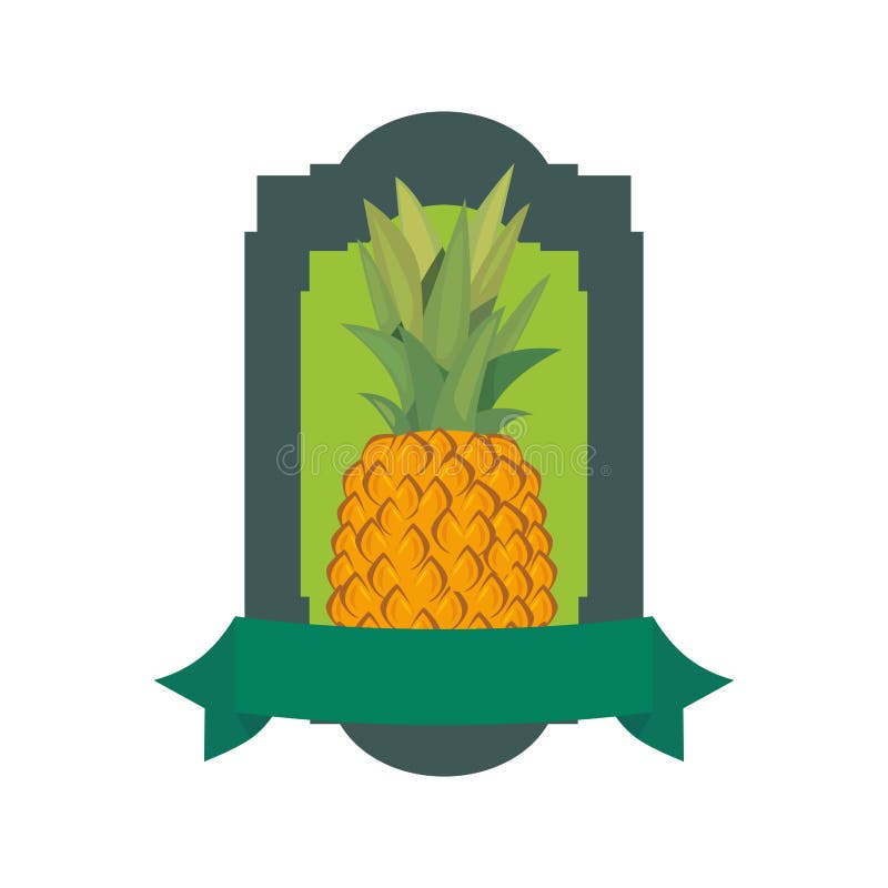 Pineapple Nutrition Facts and Health Benefits Infographic. Stock Vector ...