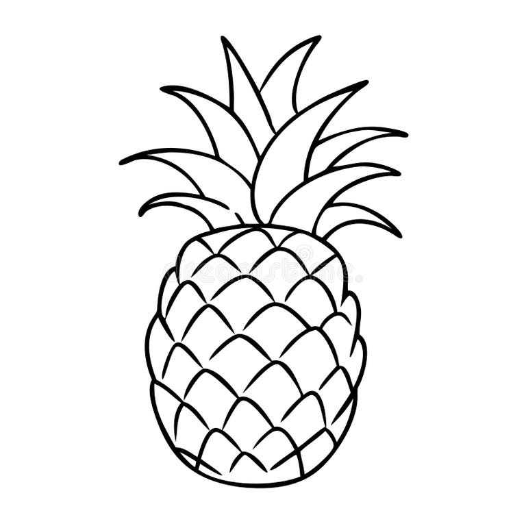 Pineapple Outline Vector Illustration for Coloring and Design Projects Stock Illustration ...