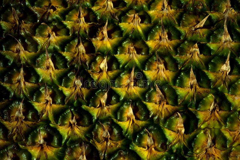 Pineapple Pattern. Texture of Pineapple Skin. Patterned Fruits ...