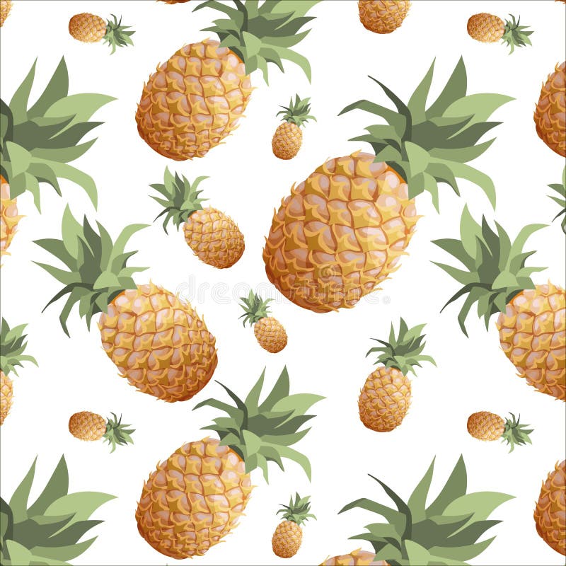 Realistic Pineapples Stock Illustrations – 337 Realistic Pineapples ...
