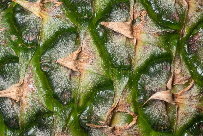 Pineapple Peel Close-up Macro Stock Photo - Image of peel, ornament ...