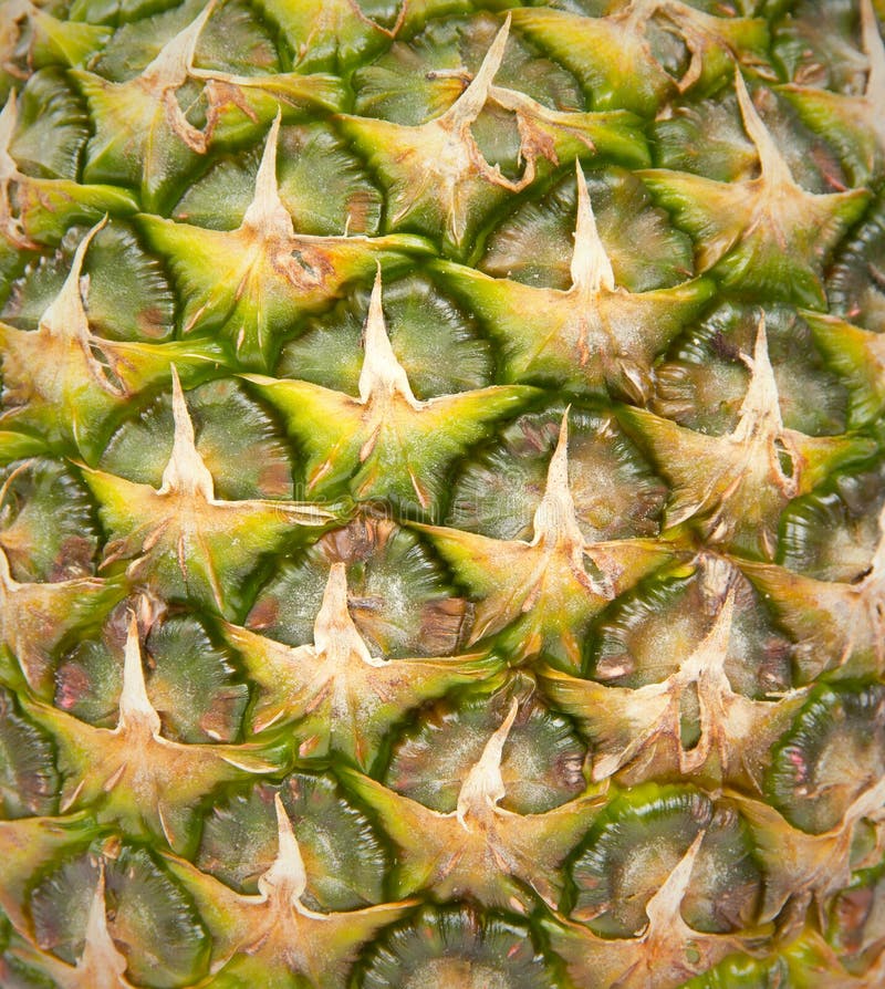 Pineapple texture stock image. Image of tropical, succulent - 959905