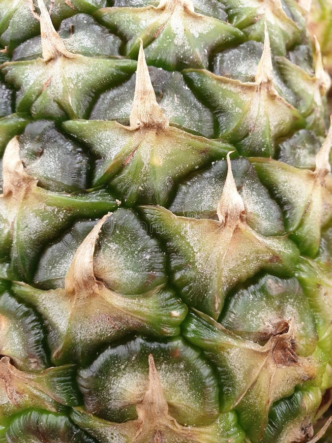 Pineapple stock photo. Image of closeup, green, macro - 144628214