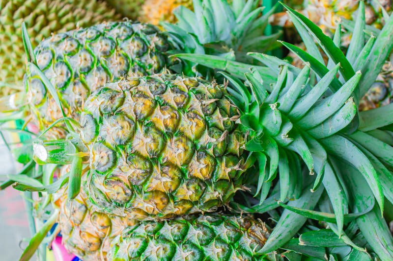 Pineapple for Sale at Fruit Market Stock Photo - Image of life, healthy ...