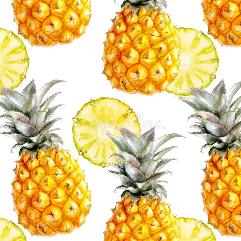 Pineapple Seamless Pattern. Pineapple Fruit Hand Draw Watercolor ...